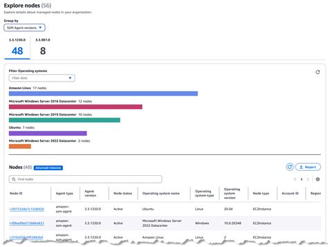 使用主控台篩選條件探索節點 aws systems manager