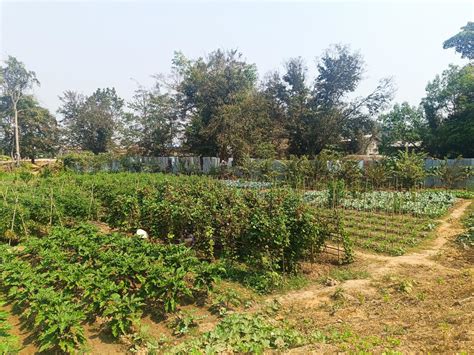 ကျိုင်းတောင်းမြို့တွင် အိမ်နောက်ဖေးဈေးဆိုင်တည်ခြင်းဖြင့် မိသားစုအပိုဝင