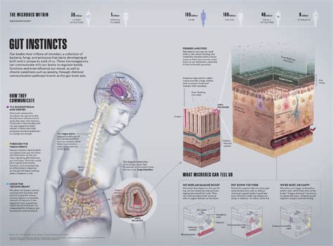 Molecular And Cellular