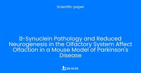 Scientific Research α Synuclein Pathology And Reduced Neurogenesis In