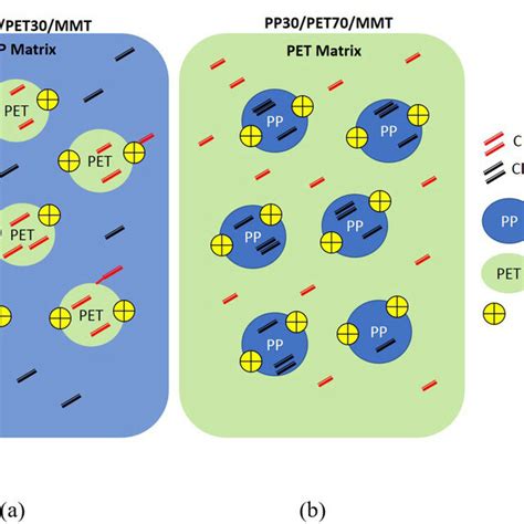 Schematic Morphology And Component Distribution A Pp70pet30mmt And