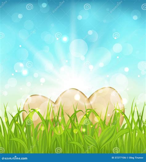 Easter Background With Eggs In Grass Stock Vector Illustration Of