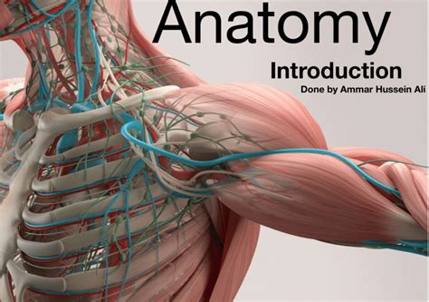 Anatomy Introduction Presentation