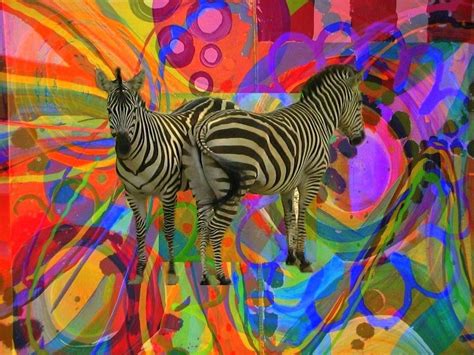 Abstract With Zebras Photograph By Sandie Smith Fine Art America