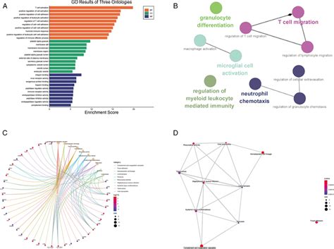 functional enrichment analyses a go term enrichment analysis results