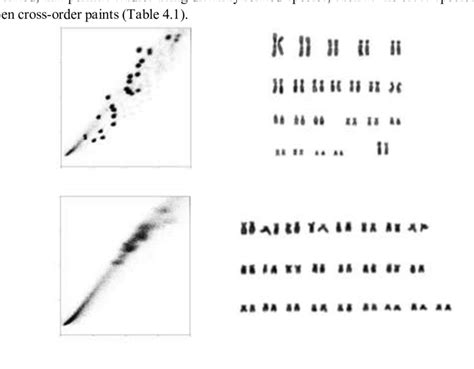 6 Chromosome Flow Sorting Graphic Of Human Female A And Zebra Fish