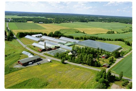 Yhteystiedot Piltti Oy Kauppapuutarha