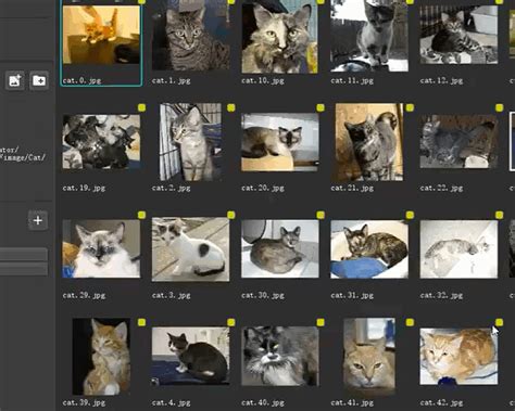 Halcon每月授权license如何更新 智能工控