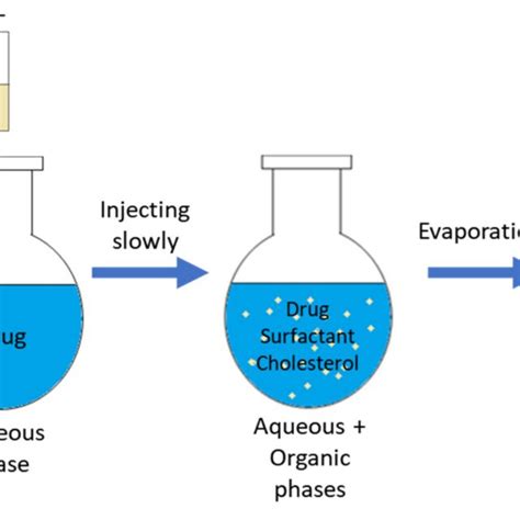 Schematic Representation Of Reverse Phase Evaporation Method Download Scientific Diagram