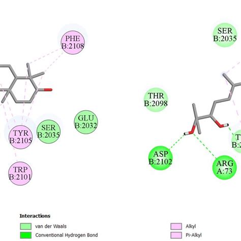 Binding Mode Of Mammalian Target Of Rapamycin Mtor With A Download Scientific Diagram