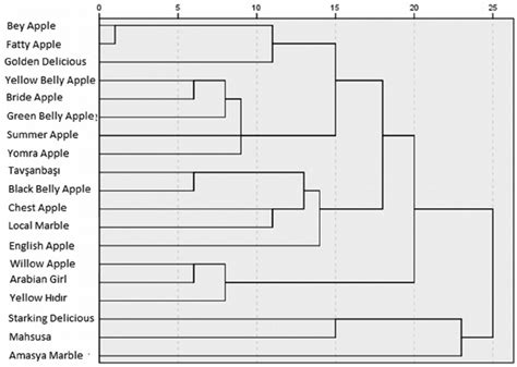 upgma clustering for 19 apple genotypes based on rapd and issr markers