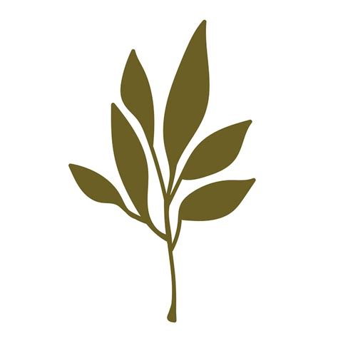 Premium Vector Nature Graphic Element Plant Leaf Vector Illustration