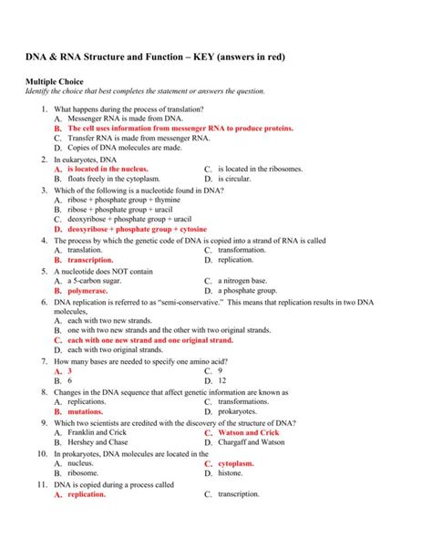 Genetics Worksheet Answer Key E