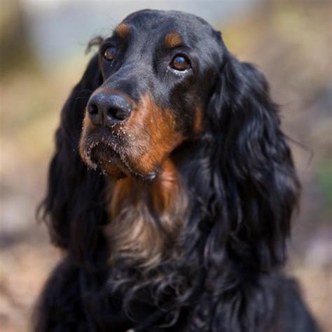 Stream Jan Christofer Sarapik Music Listen To Songs Albums