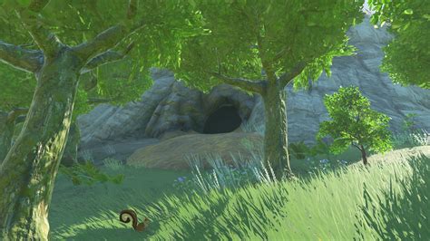 Filetotk Retsam Forest Cave Entrance 2png Zelda Wiki