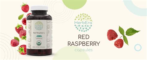 Herbera Red Raspberry Usda Organic 60 Capsules Natural Herbal Supplement Herbera Red Raspberry Usda Organic 60 Capsules Natural Herbal Supplement