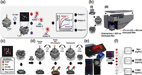 Tricorder Tech A Rapid And Inexpensive Paper Based Test For Multiplexed Sensing Of Biomarkers