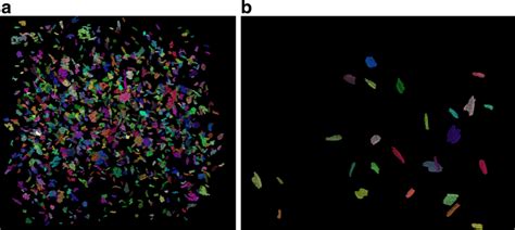 3d Reconstruction Of Synapses A Reconstruction Of Synapses On The
