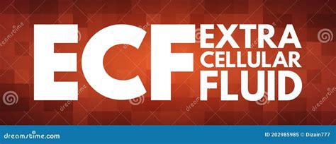 Ecf Extracellular Fluid Acronym Concept Stock Illustration