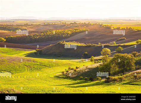 Moravian Tuscany Rolling Landscape In South Moravia Near Kyjov Town
