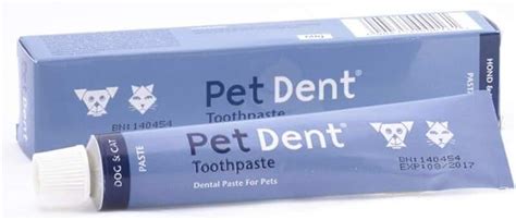 Uk Dentisept For Dogs