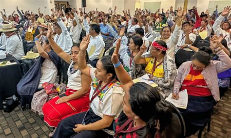 Consejo Nacional De Pueblos Indígenas Propone Que La Reforma Electoral