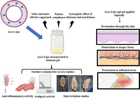 Qbd Assisted Optimisation Of Liposomes In Chitosan Gel For Dermal Delivery Of Aceclofenac As