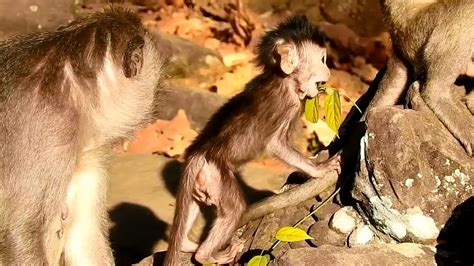 Cute And Attractive Jayden Mess Around Very Joyful Heartwarming Jayden Enjoy With Friends Youtube