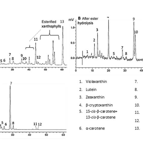Classification Of Carotenoids According To Their Structures Download Scientific Diagram