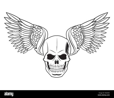 Skull With Wings Tattoo Art Design Stock Vector Image And Art Alamy