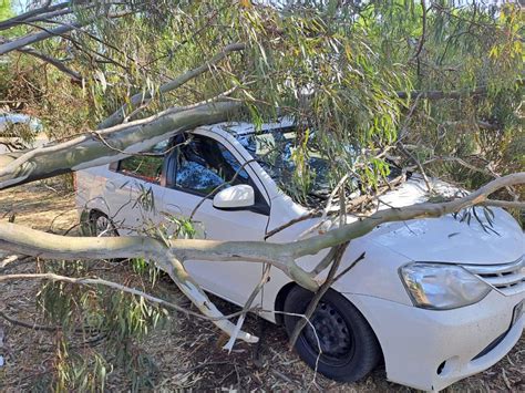 Motor So Tussen Die Boom En Die Bas Toe Boom Omval Lowvelder