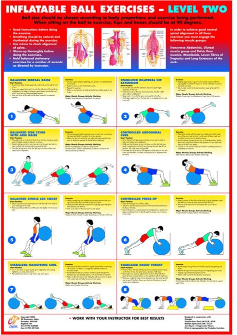 Swiss Ball Exercise Charts