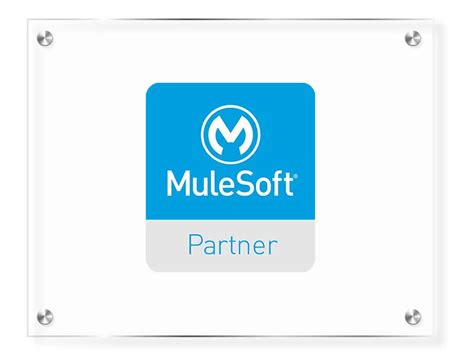 salesforce mulesoft integration services salesforce mulesoft partner