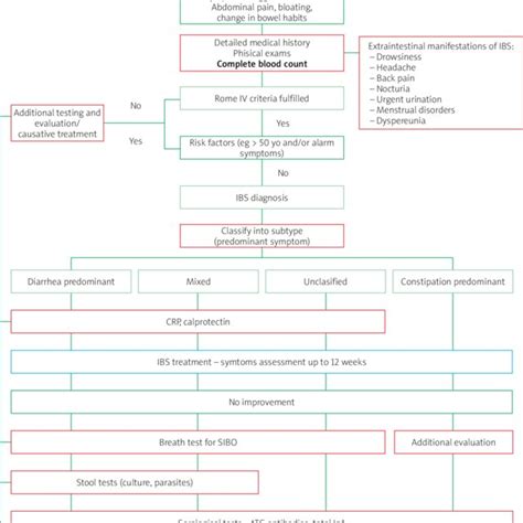 Proposed Diagnostic Algorithm For Diagnose Of IBS IBS Irritable Bowel Download Scientific