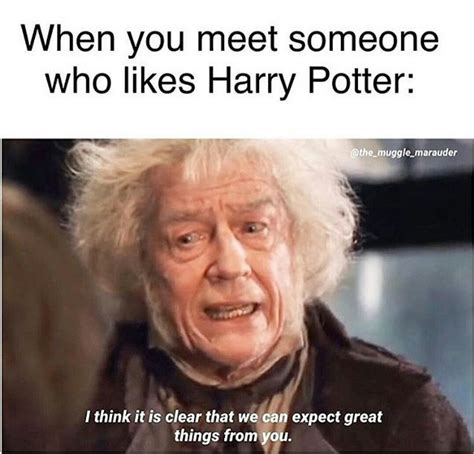 Harry Potter Pageant Memes
