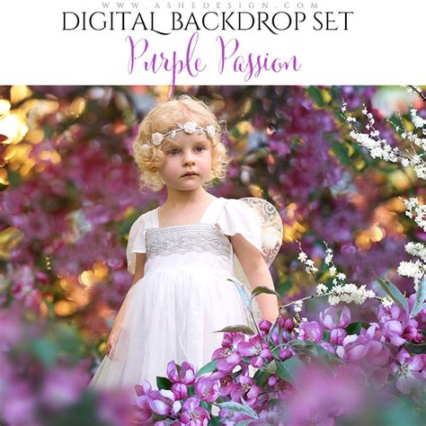 Digital Props 16x20 Backdrop Set Purple Passion Ashedesign