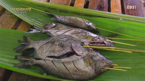 세계테마기행 세이셸군도 대탐험 3부 환상의 섬을 찾아서 라디그001 Youtube