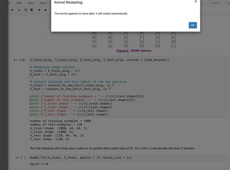 Modelfit Kernel Died Convolutional Neural Networks Deeplearningai