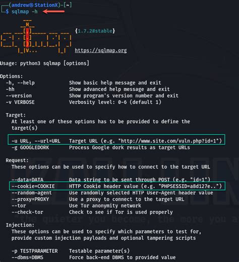 Blind Sql Injection An Experts Guide To Detect And Exploit