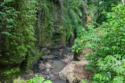 Balis Suwat Waterfall A Visiting Guide