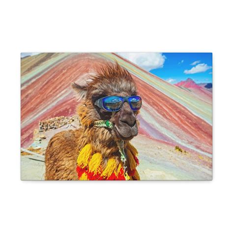 Funny Alcapa Silly Alcapa Inside Outside Wall Art Ready To Hang