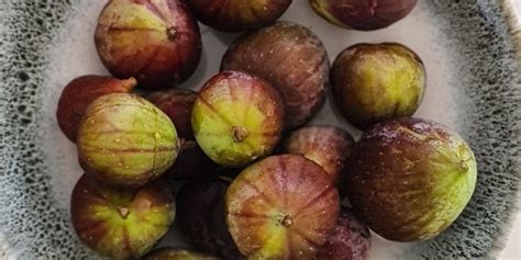 What To Do With Frozen Figs Fruitful Kitchen