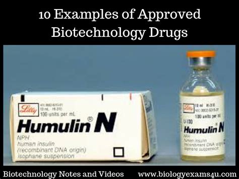 10 Examples Of Approved Biotechnology Biology Exams 4 U