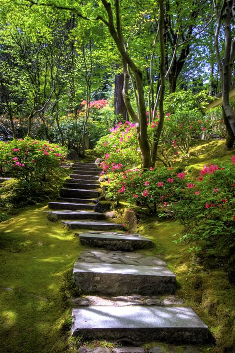 25 Perfect Outdoor Landscape Videos Home Decoration And Inspiration Ideas