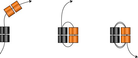 How To Make Beaded Butterfly Fringe Earrings Free 9 Step By Step