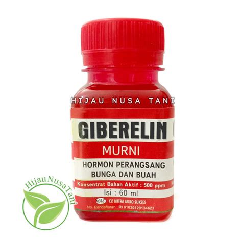 Jual Giberelin Ga3 Murni 60 Ml Hormon Zpt Tanaman Bunga And Buah Kota