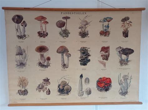 School Map Linen Auction Online Catawiki