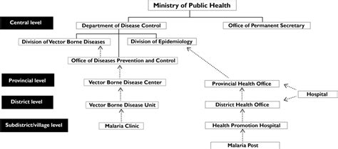 Flowchart Of Malaria Reporting Source Dvbd 8 Moph 17 Download Scientific Diagram