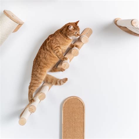 Cat Climbing Wall Ladder Kit Beige Cattreeking Usa