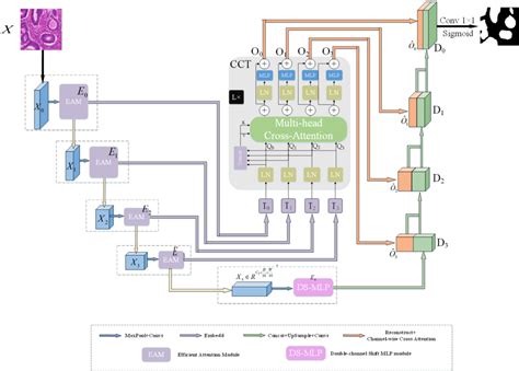 Figure 1 From Hea Net Attention And Mlp Hybrid Encoder Architecture For Medical Image